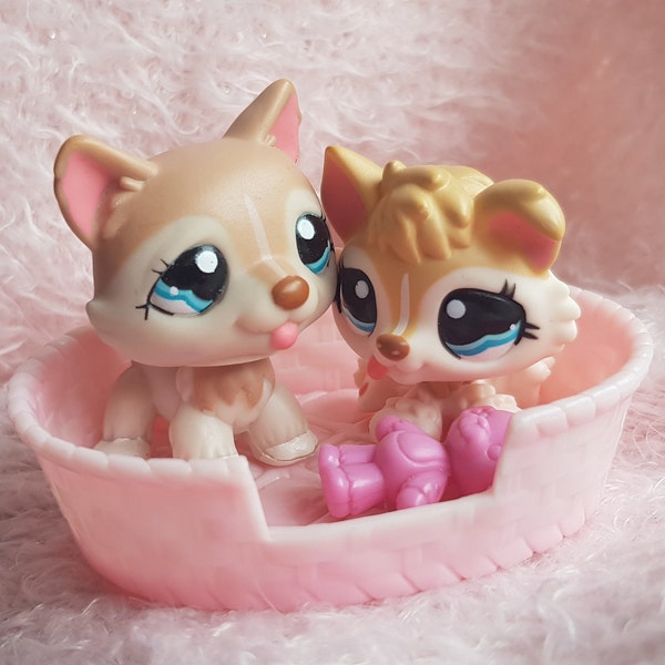 LPS Lilac Husky Puppy 1810 / Authentic Littlest Pet Shop / Collectible ...