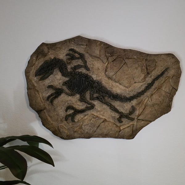 15 FT Long Mosasaurus Full Skeleton Fossil - Lifesize Mosasaur Replica ...