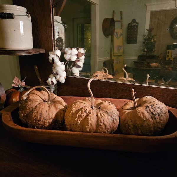 GOURDS Group of 5 Cheese Gourds ( Dried & Cleaned) - Etsy