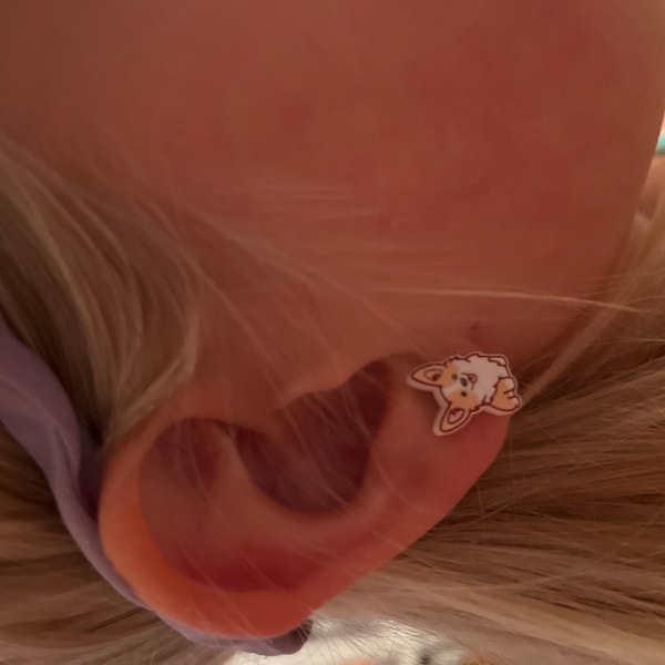 Cute Corgi Earrings, Acrylic Dog Titanium Studs, Hypoallergenic for ...