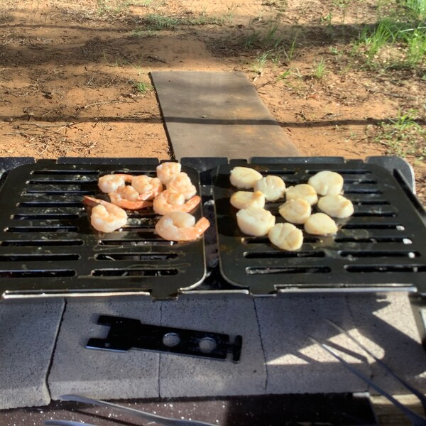 Cattle Loading Chute PDF FILE Blueprint Digital Download, Cattle Chute ...