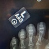 Cute X-ray Stickers - Etsy