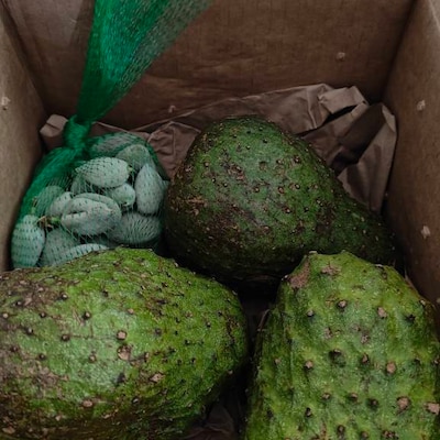 9-10lbs Fresh Exotic Fruit Box ACTUAL RARE FRUITS Overnight Shipping - Etsy