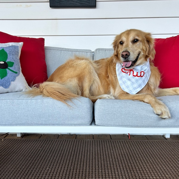 The Ohio State University Brutus Buckeye, Licensed, Over the Collar Dog ...