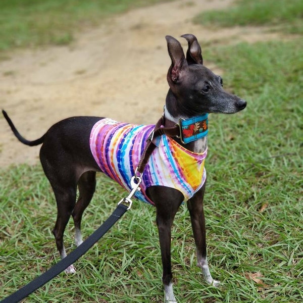 One Spandex Spaghetti Strap 1/4" Wide With 2 Clips - Choice of Color ...