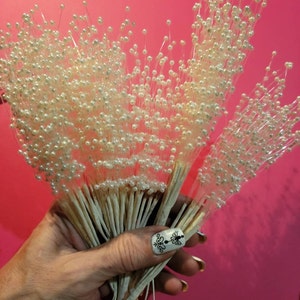 Vintage Bridal White 12 Stem Pearl Spray With Illusion Wire, Delicate ...