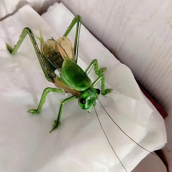 Art Glass Grasshopper, Glass Sculpture, Hand Blown Glass, Glass Insects ...