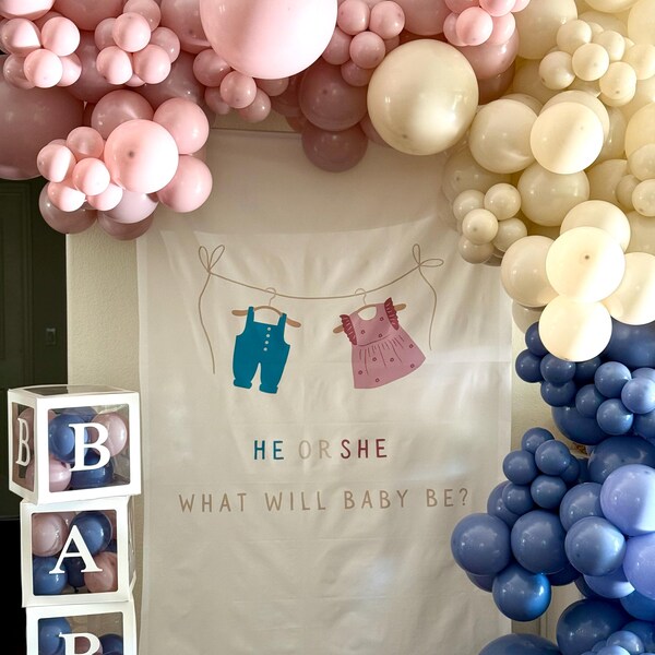 Large Gender Reveal Backdrop, Gender Reveal Backdrop, Gender Reveal ...