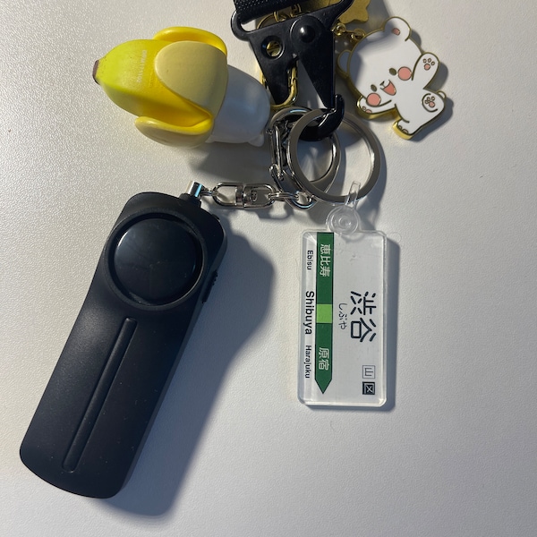 Shinjuku Station Keychain, Akihabara Keychain, Japan Keychain, Bullet ...