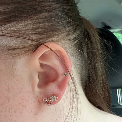 GREEN Anodised Split Ring/hoop Nose Ear Cartilage Tragus - Etsy UK