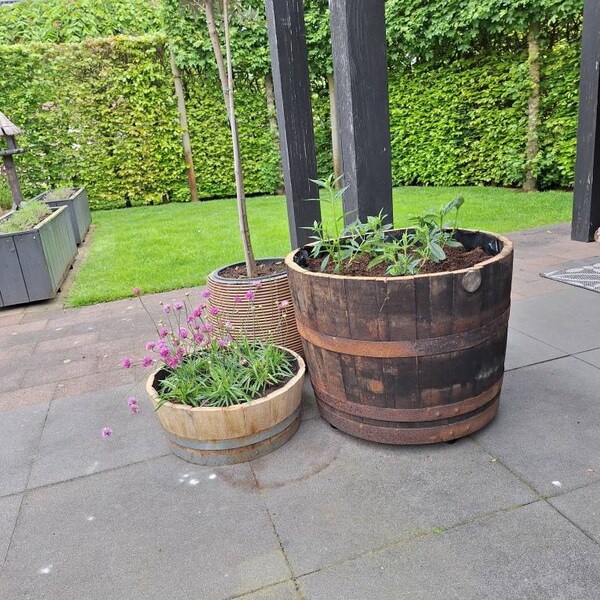 WHISKY OAK BARREL Planter Pot - Half Cut Wooden Keg Barrels Ideal for ...