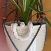 Snake Plant Pal Accessory - Etsy