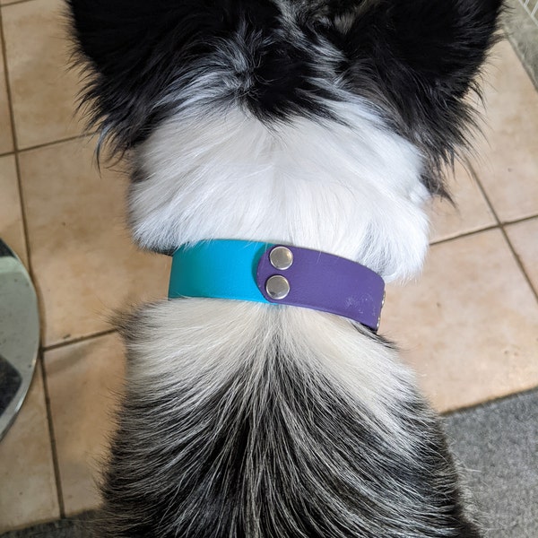 Waterproof Dog Collar in Lilac Purple Lavender, Biothane Dog Collar in ...