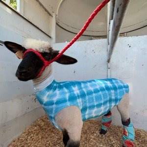 Custom Lamb Body Tubes solid Colors - Etsy