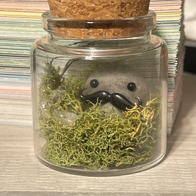 Adopt a TINY PEBBLE PAL W/ Crystal Moss Cork Jar Home Handmade Tiny ...