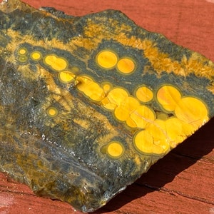 Preform Star Light Root Beer Banded Brazil Agate Cab Slab | Etsy