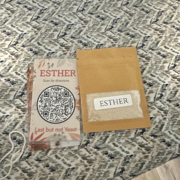 Set of 4 Round Linen Reversible Primative Coasters, Sourdough Starters ...