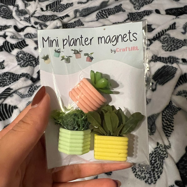 Handmade Mini Succulent Fridge Magnet | Colorful Plant Decor - Etsy