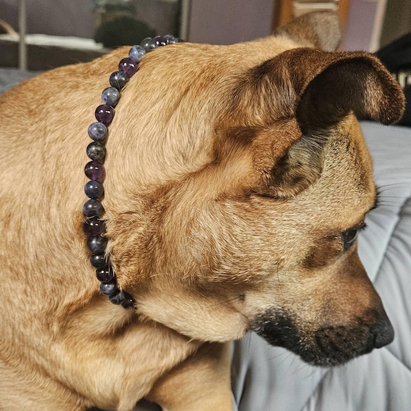 Lithotherapy and Anti-ticks Collar for Dog, Anti-anxiety and ...