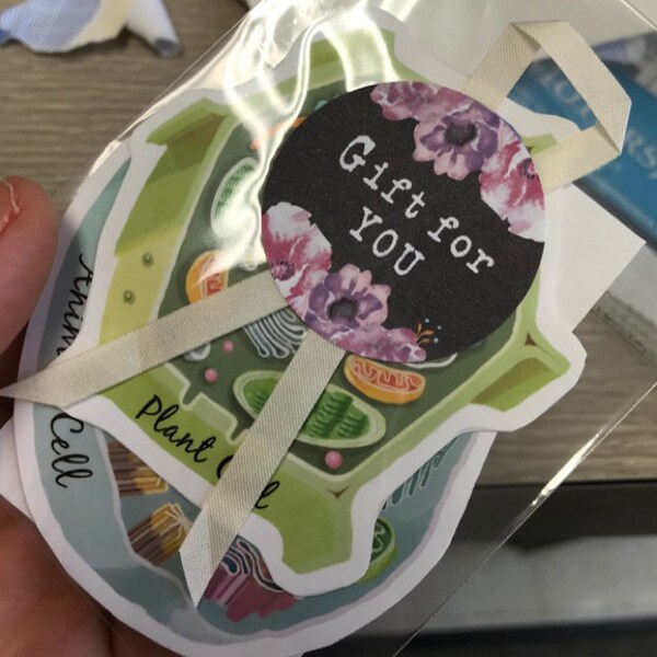 Animal Cell Cross Section Vinyl Sticker, Unique Science Decal ...