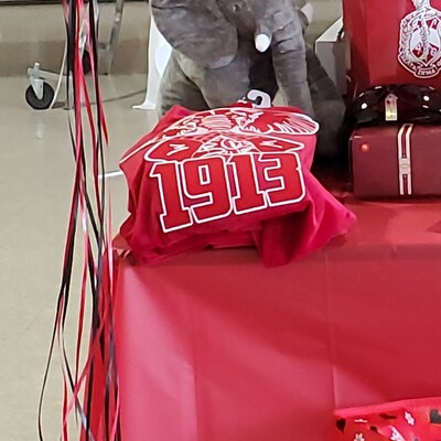 Delta Sigma Theta Sorority Circular Shield 11 Patch - Etsy