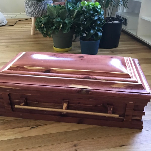 12 X 24 Pet Casket & Memory Chest Custom Pet Funeral Box, Pet Coffin ...