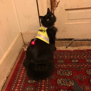 Security. Water-repellent Green Safety Cat Harness With Reflective ...