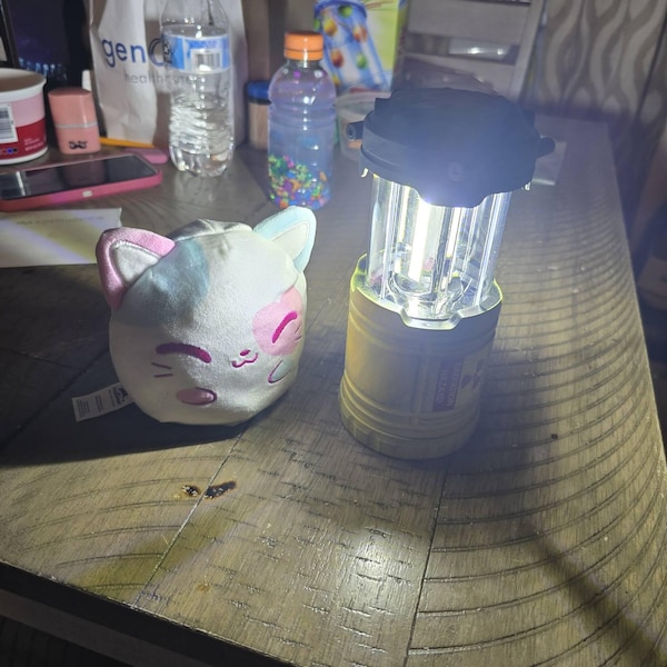 Fallout Fusion Core Unofficial and Custom - Functioning Lantern - Etsy