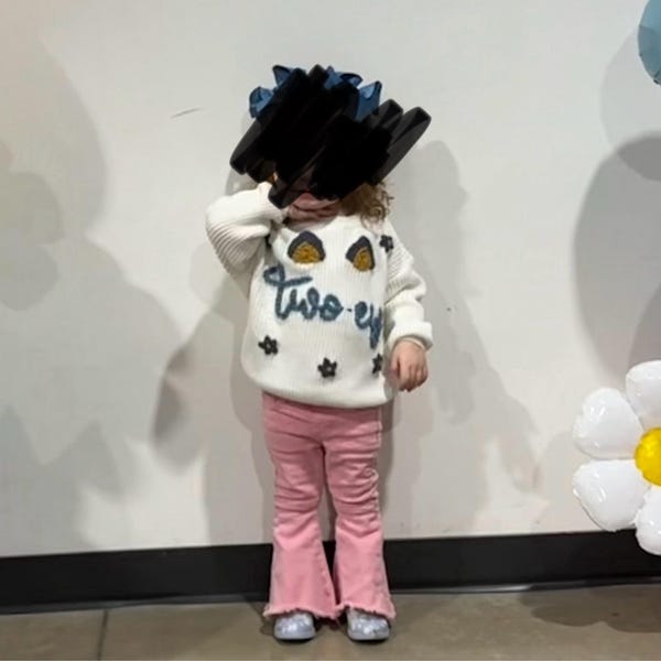 Hand Embroidered Birthday Sweater: "two-ey" Theme Knit Top - Etsy
