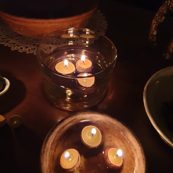 DIY Walnut Advent Calendar: 24 Matching Walnut Pairs (48 Shells ...