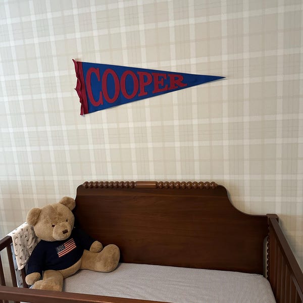 Monthly Milestone Pennant, Baby Milestone Monthly Felt Pennant, Monthly ...