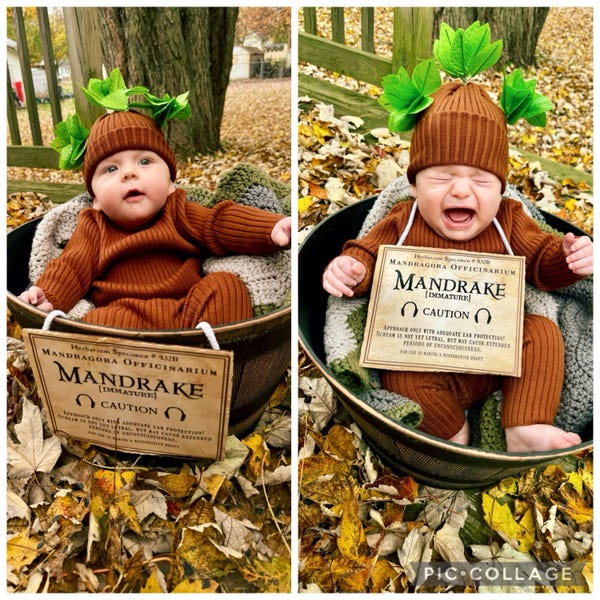 Realistic Mandrake Label, Printable Sticker Prop Potter Herbology - Etsy