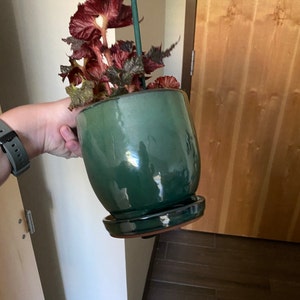 Maui MEDIUM 5.0 Handmade Ceramic Pot With Attached Saucer, W/ Drainage ...