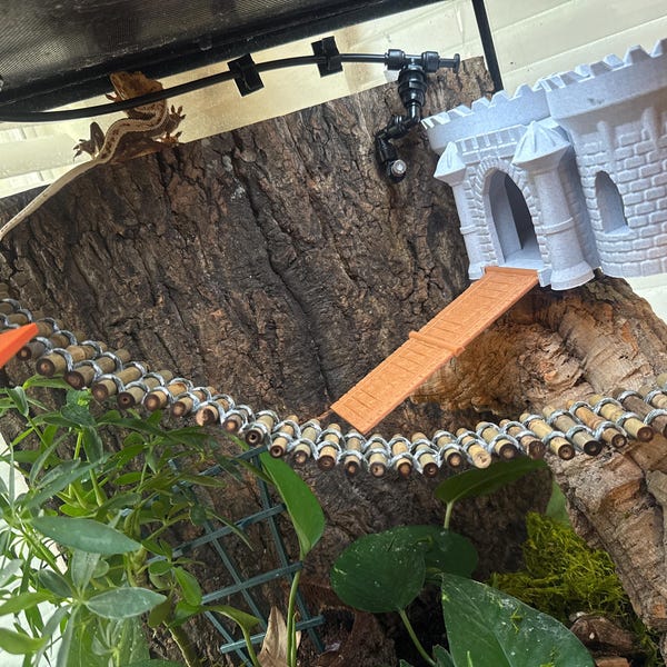 Bamboo Bridge - 2.5" Width - (perfect for Young Crested Geckos, Tree ...