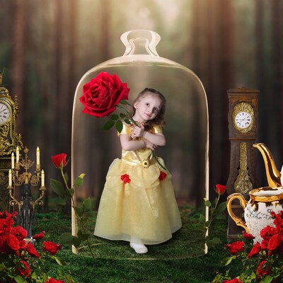 Princess Castle Digital Background, Digital Backdrop, for Composite ...