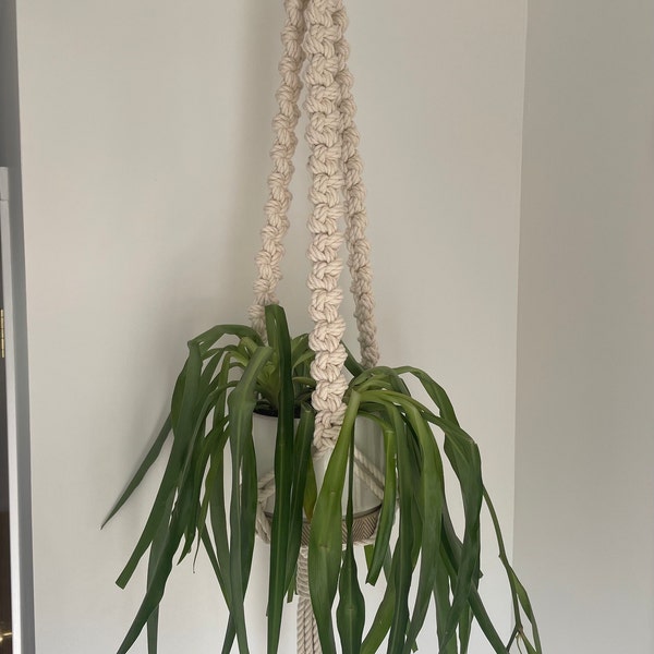 Modern Macrame Plant Hanger, Long Hanging Planter, Medium Pot Plant ...