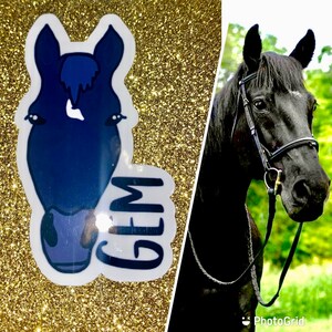 Mare Horse Sticker Set Laptop Sticker Gifts for Horse - Etsy