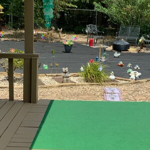 Natural Mussels Clam Shell Carving Dragon Model on Stand Large Size ...