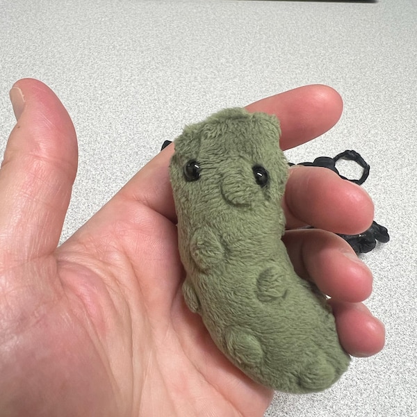 Pocket Pickle Sensory Comfort, Emotional Support Pickle Pet, Autism Toy ...