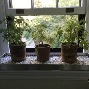 Copper Check Presenter - Etsy