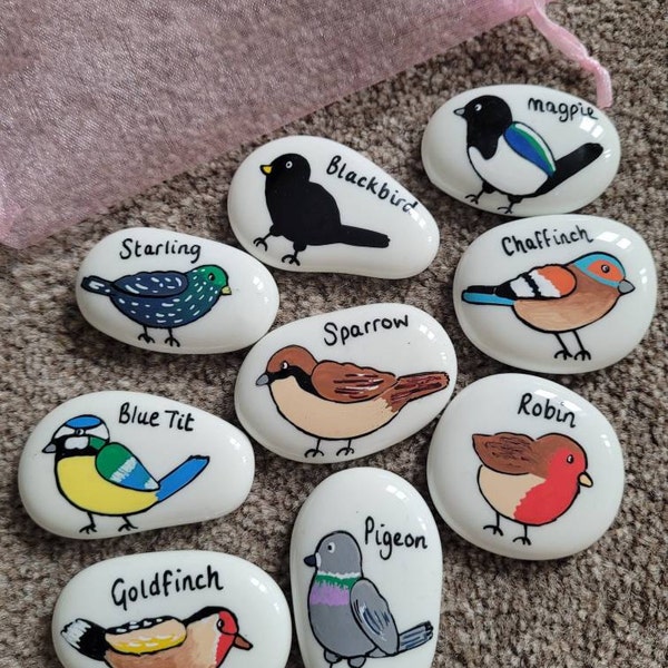 Bird Species Pebbles . British Birds. Garden . Uk Birdwatching Weekend ...