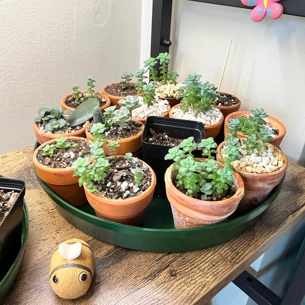 Adults Chef Cooking Apron,personalized Chef Baking Wear,bbq Funny Cute ...