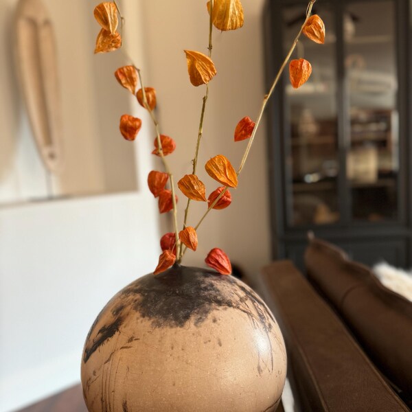 Preserved Lycopodium Bunchdried Princess Pine Grassdried Flowers ...