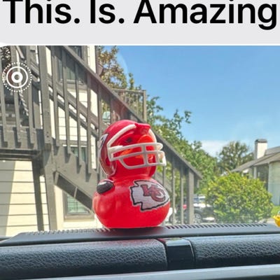 ST LOUIS CARDINALS Rubber Duck Gift Baseball Mlb Bedazzled Collectible ...