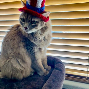 Uncle Sam Hat for Cats, 4th of July Cat Accessory, Independence Day ...
