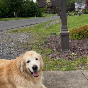 Ball Python Cut Files for Cricut and Silhouette .svg .png .jpg .dxf - Etsy