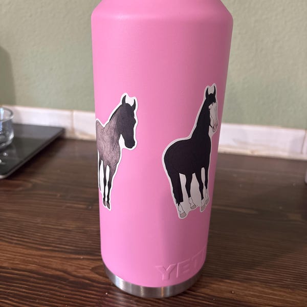 Horse Physical Assessment Form | Horse Bodywork | Equine Form | Horse ...