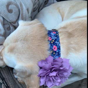 Dog Collar Flower Dog collar flower accessory dog collar | Etsy