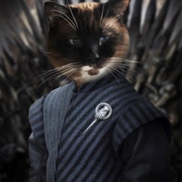 Custom Kylo Ren Pet Portrait . Star Wars Pet Portrait . Custom Pet ...