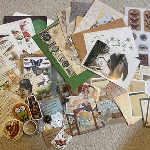 Spotted Cort Mushroom Hat, Comfortable Wear, Forest Fairy, Renaissance ...